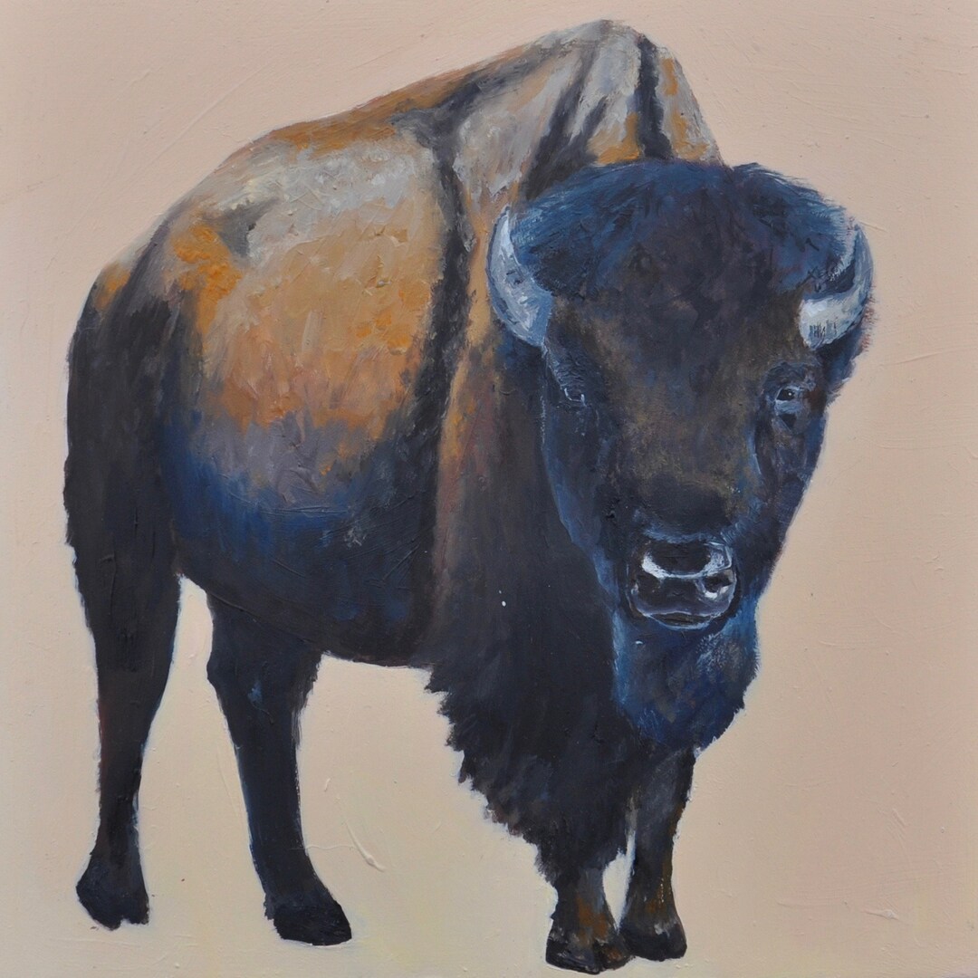 American Bison Print - Etsy