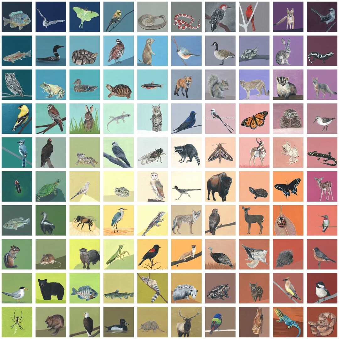 Animals of Oklahoma Poster (MADE TO ORDER) - Etsy