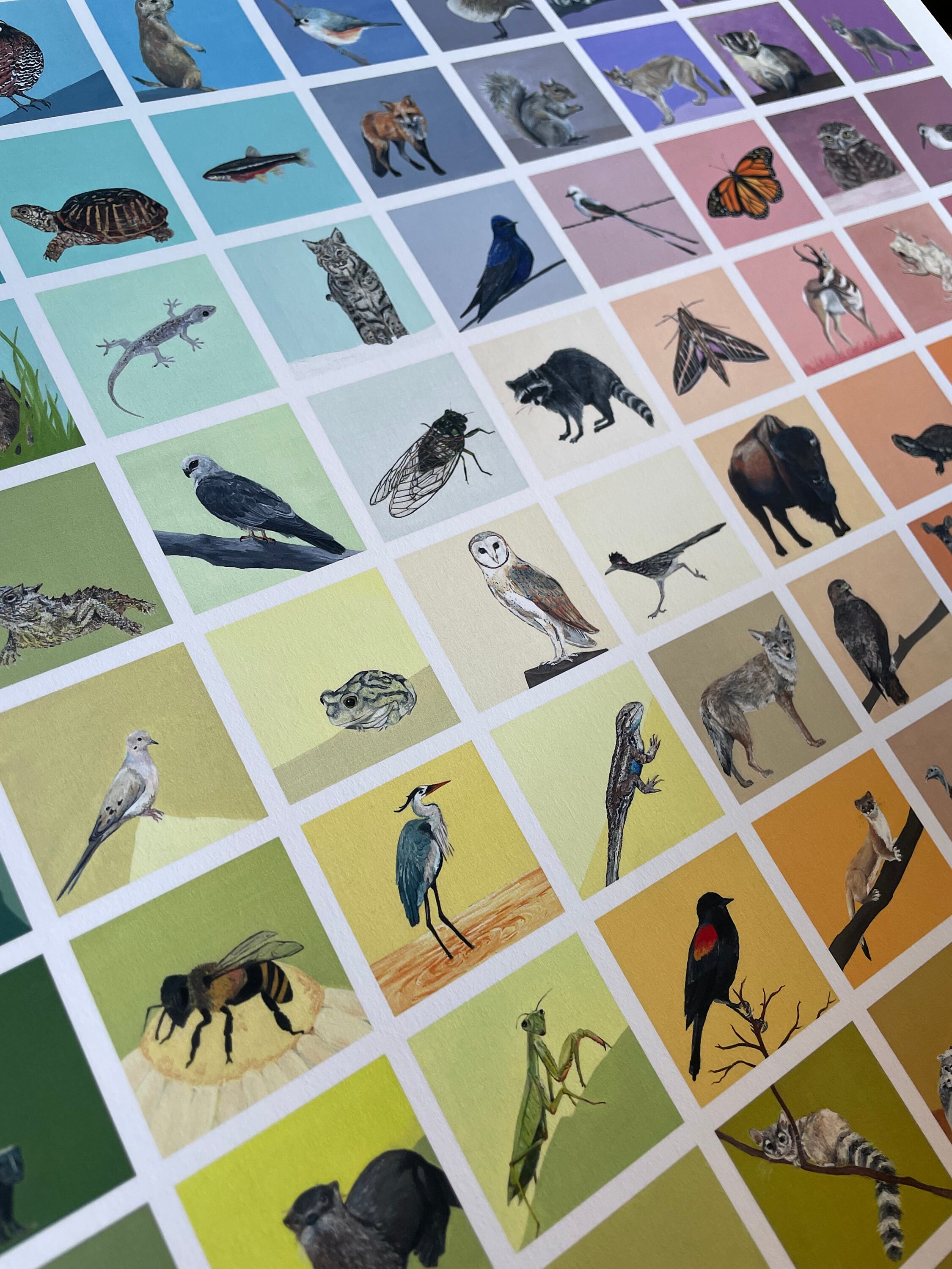 Animals of Oklahoma Poster MADE TO ORDER - Etsy