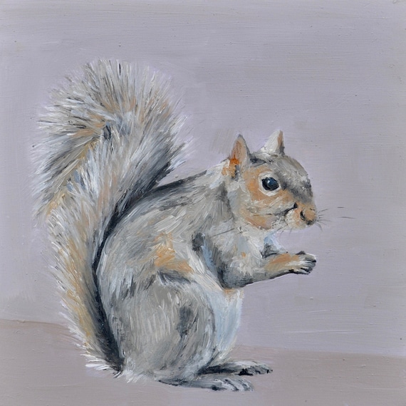 Eastern Gray Squirrel Drawing