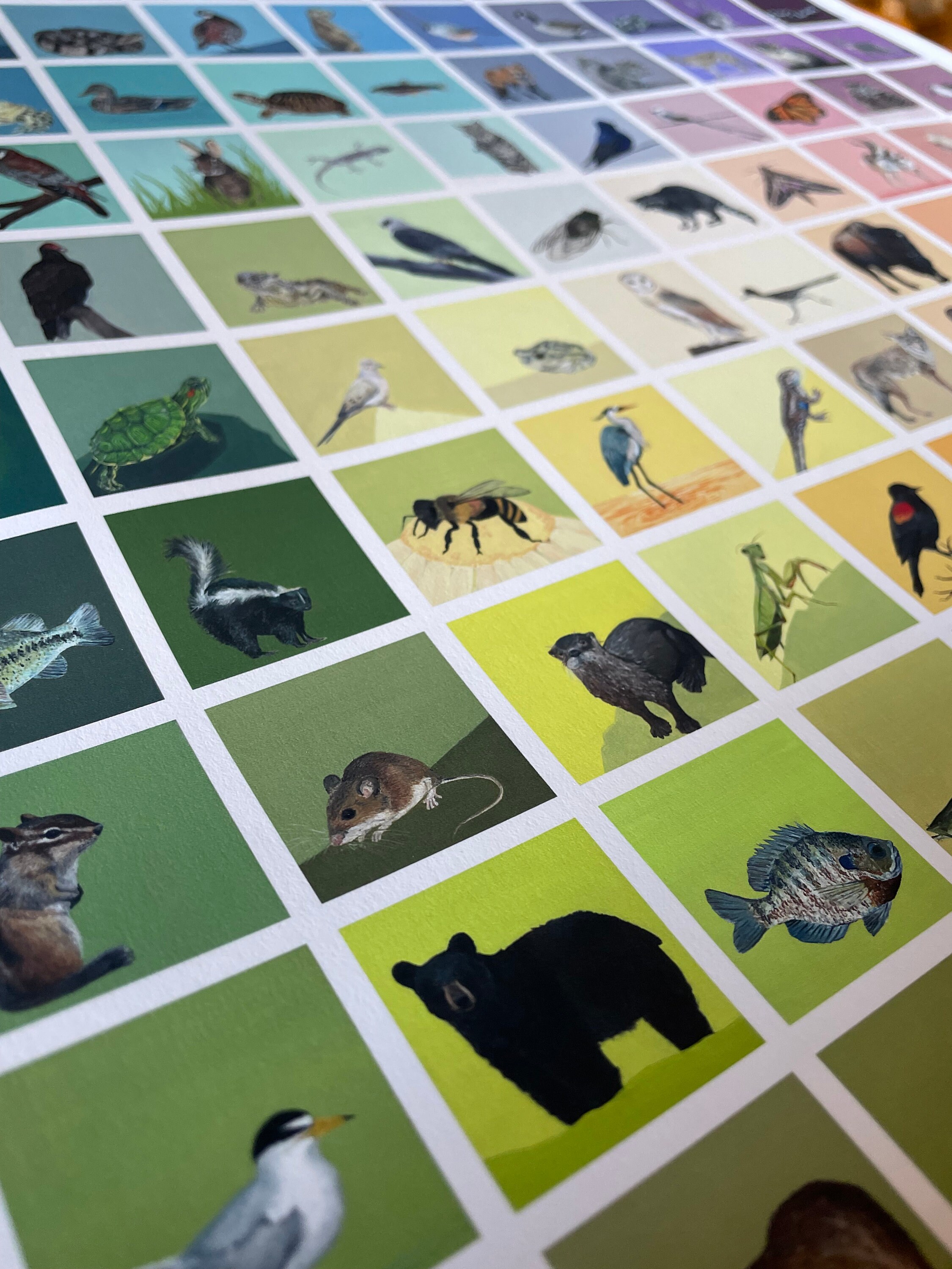 Animals of Oklahoma Poster MADE TO ORDER - Etsy