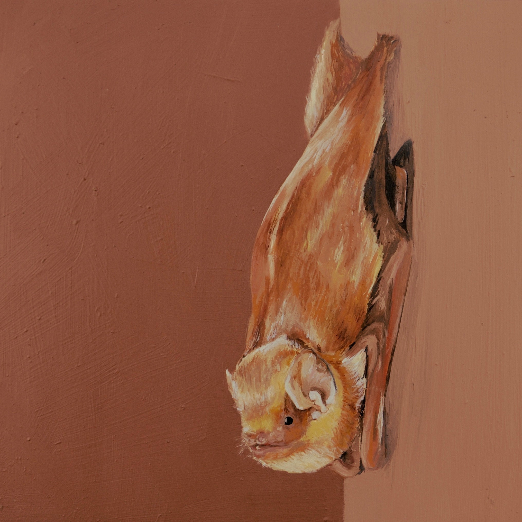 Eastern Red Bat Print - Etsy