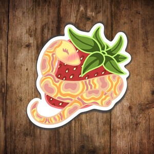 Strawberry Snake Sticker - Etsy