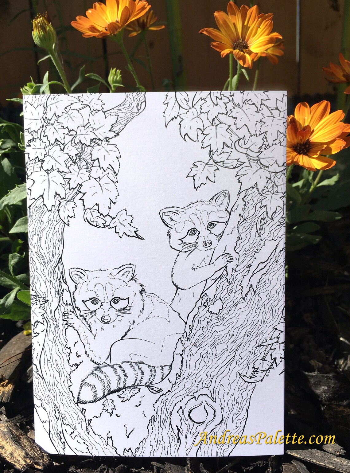 Raccoons Coloring Card INSTANT DOWNLOAD 5x7 Card, PRINTABLE Greeting ...