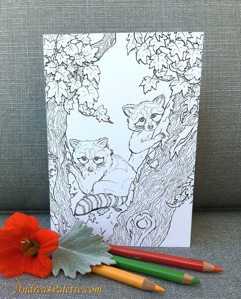 Raccoons Coloring Card INSTANT DOWNLOAD 5x7 Card, PRINTABLE Greeting ...
