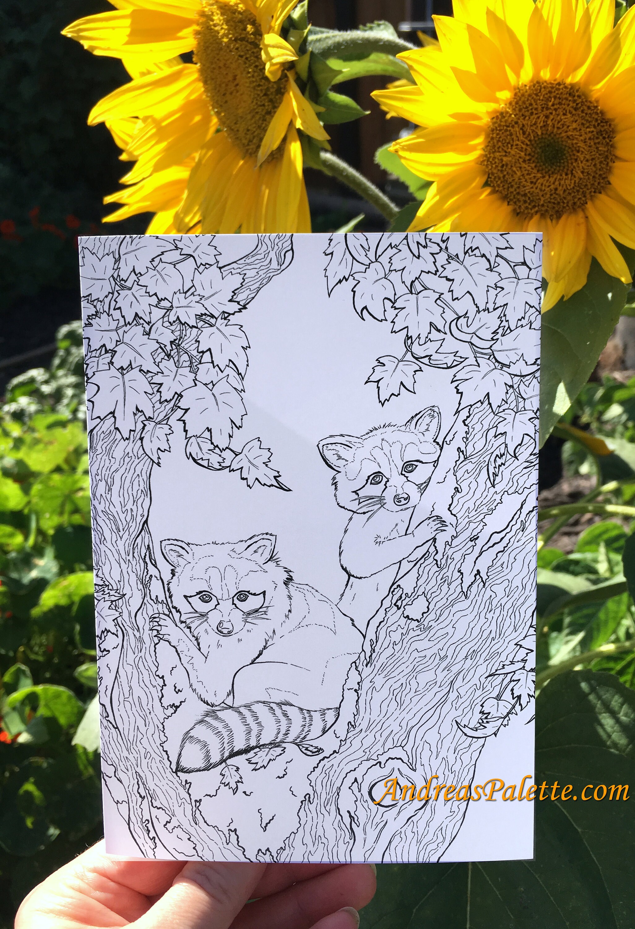 Raccoons Coloring Card INSTANT DOWNLOAD 5x7 Card, PRINTABLE Greeting ...