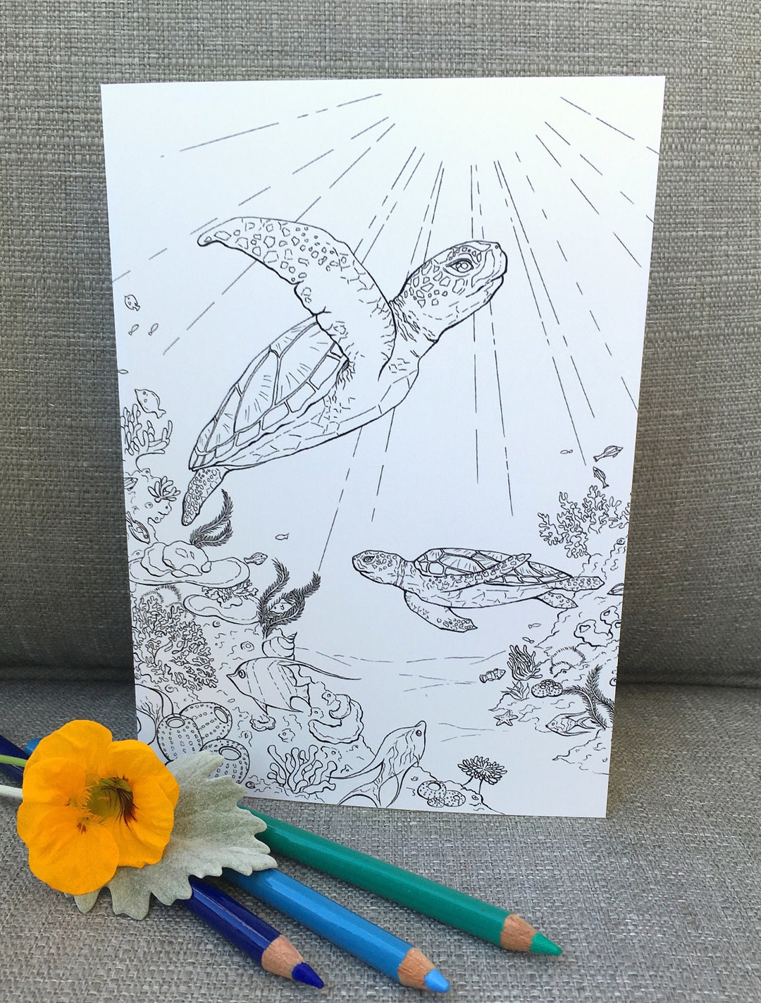 Ocean Life Coloring Card Sea Turtle Card INSTANT DOWNLOAD, PRINTABLE ...