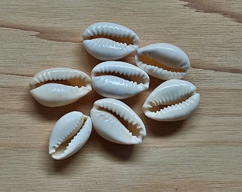 5/10/20pcs Natural Sea Shells Cowrie Shell Gold Plated Shell Pendants ...