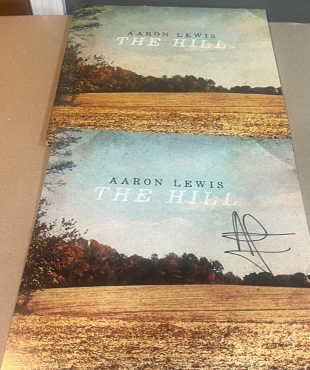 AARON LEWIS Signed Autographed the Hills Record Album Insert STAIND - Etsy