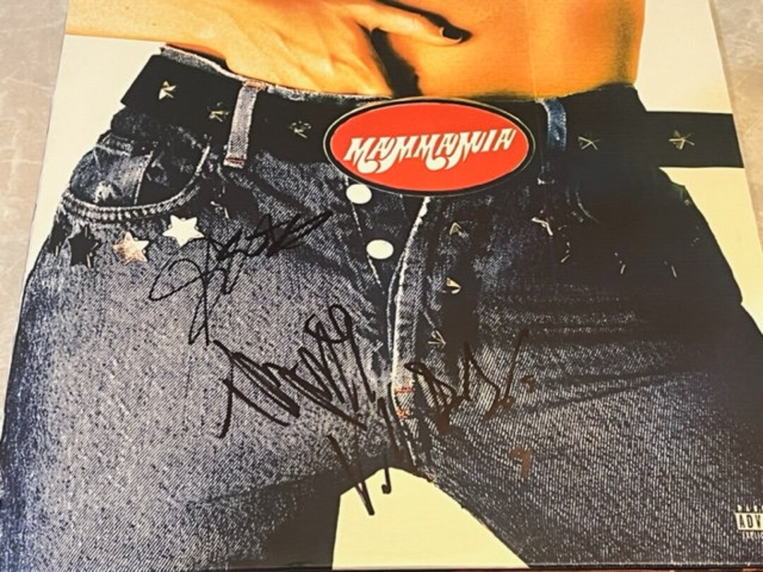 Maneskin FULL BAND Signed Autographed Record Album LP - Etsy