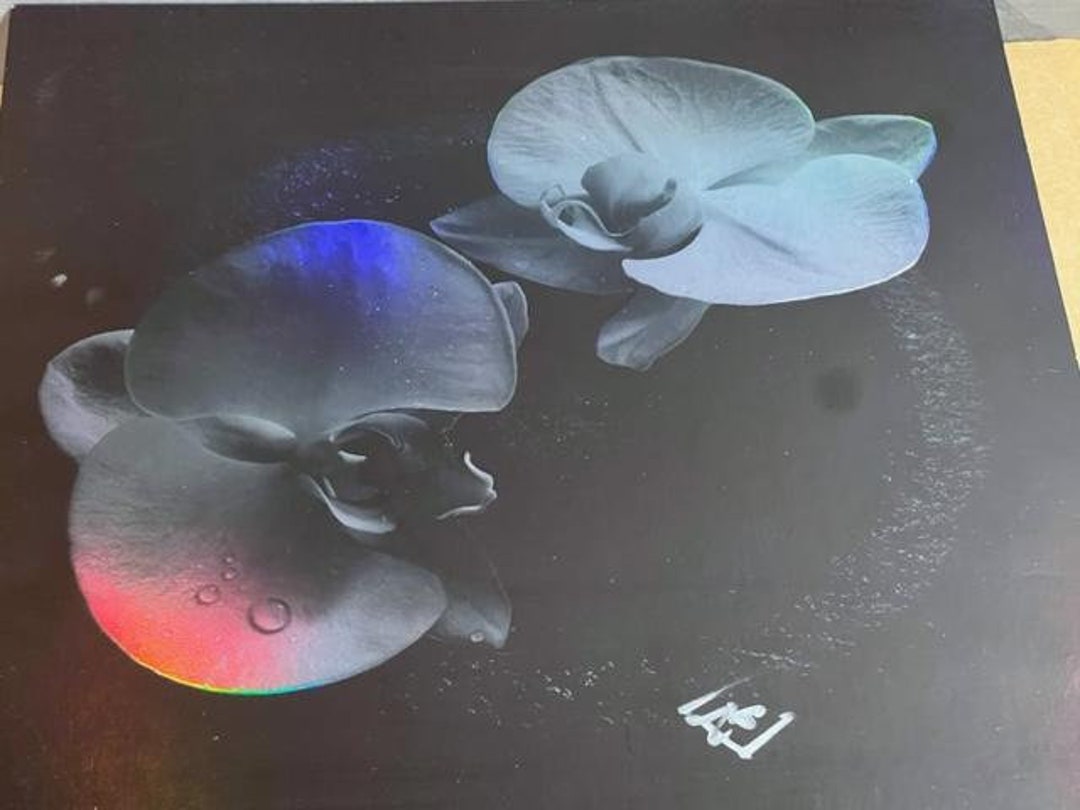 MIKE PATTON Signed Autographed Corpse Flower Record Album LP Faith No ...