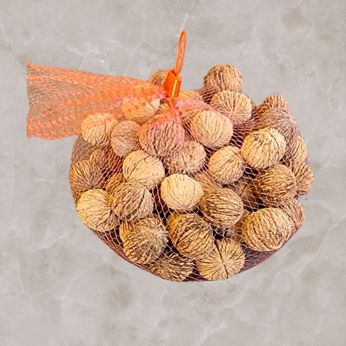 Fresh Black Walnuts in Shell-organic, for Baking, Deserts, Cooking, to ...