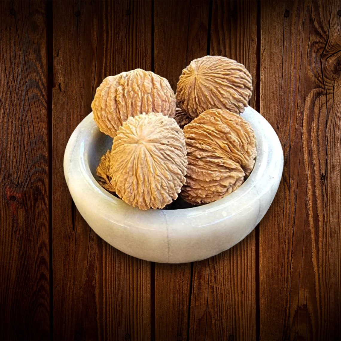 Fresh Black Walnuts in Shell-organic, for Baking, Deserts, Cooking, to ...