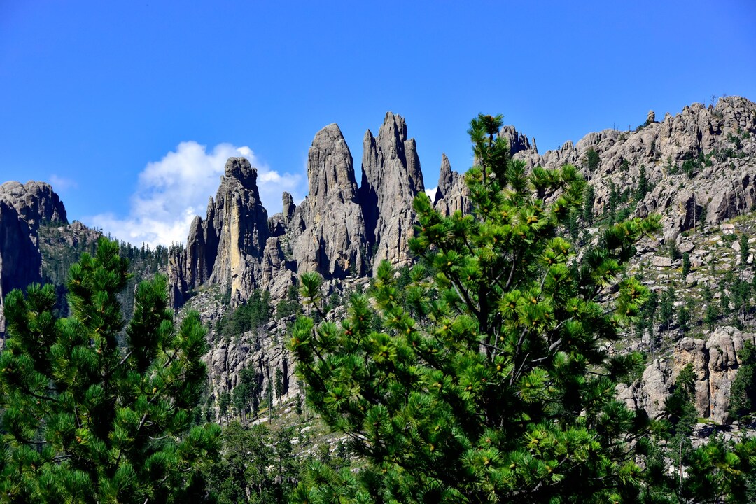 Rugged Pinnacles the Needles Granite Spires Are a Stunning Site, Near ...