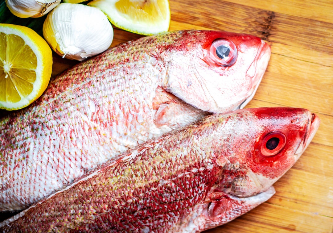 Red Snapper Fish Canvas Print Kitchen Canvas Print Whole - Etsy