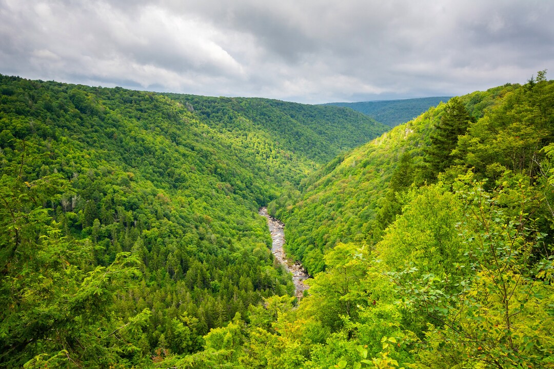 Pendleton Point Overlook Blackwater Falls State Park West Virginia ...