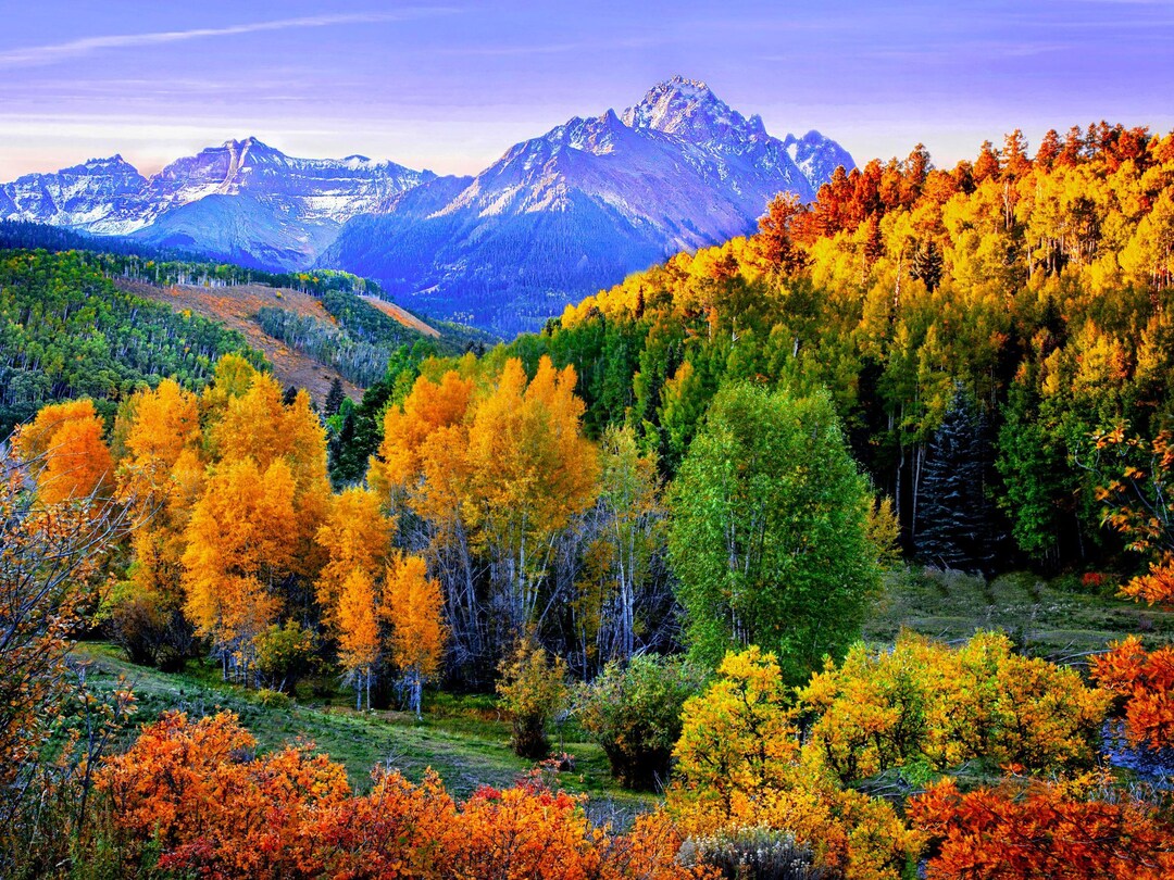 Mount Sneffels Colorado Fall Aspen Trees Canvas Print, Rocky Mountain ...
