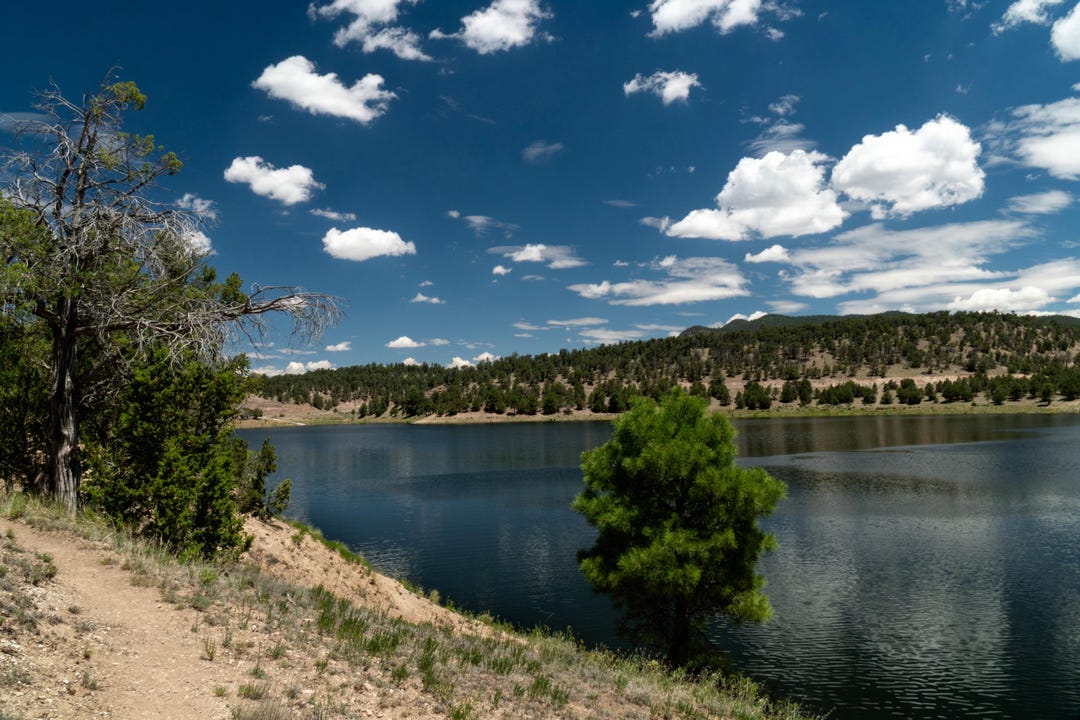 Quemado Lake, New Mexico Provides Anglers, Hunters, and Campers Much to ...