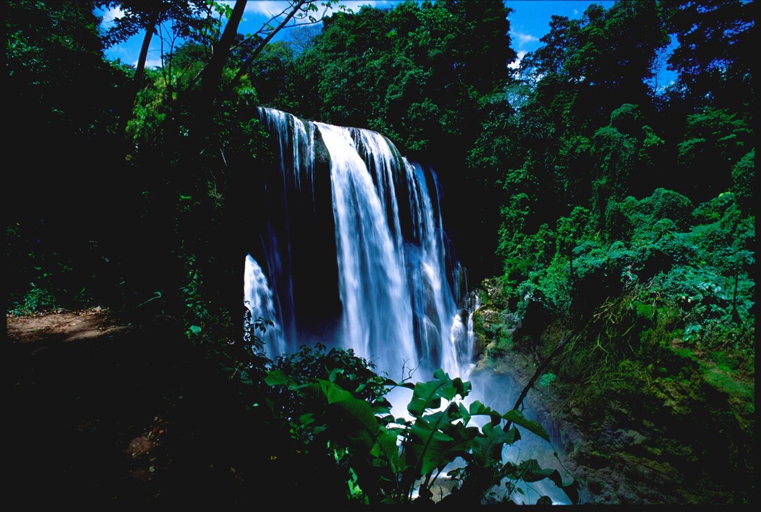 Yajoa Waterfalls in Honduras in the Lush Forest, You Can Walk the Top ...