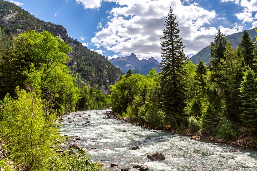Animas River Outside of Durango, Colorado Canvas Print San Juan ...