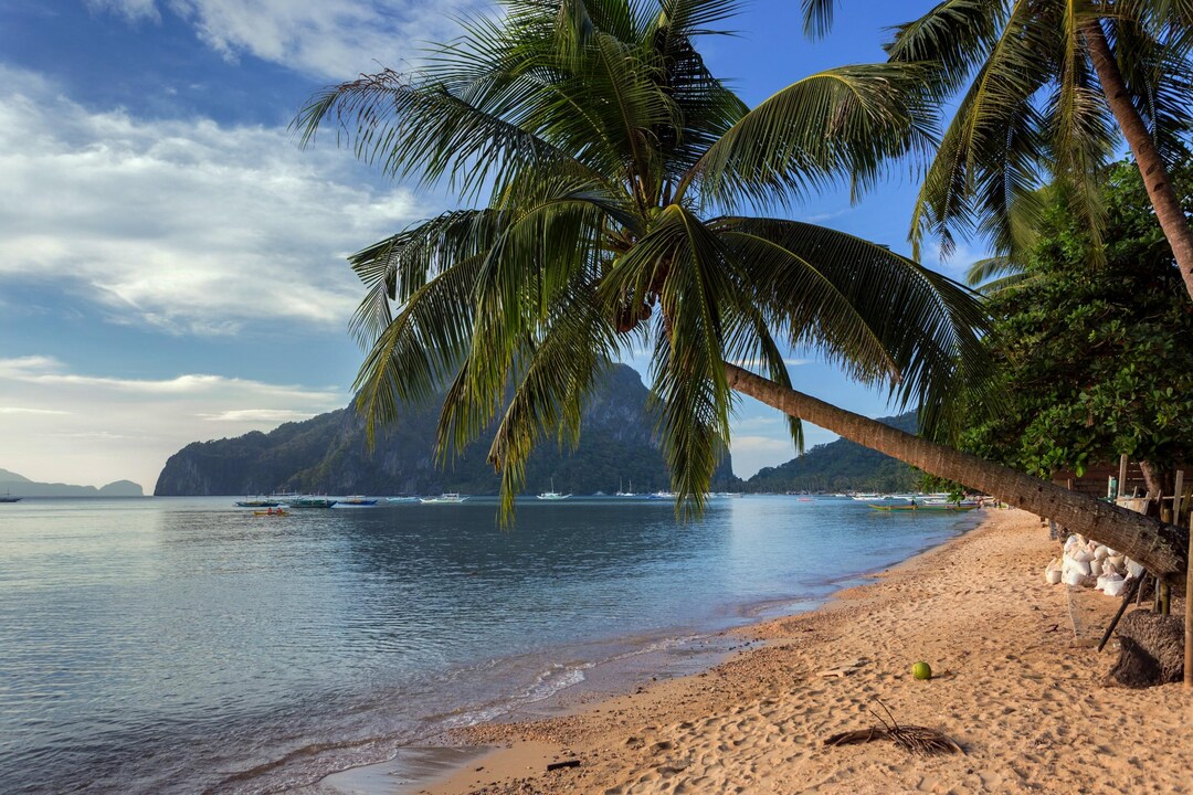 Palawan Island Tropical White Sand Beach With Palm Trees & Small Boat ...