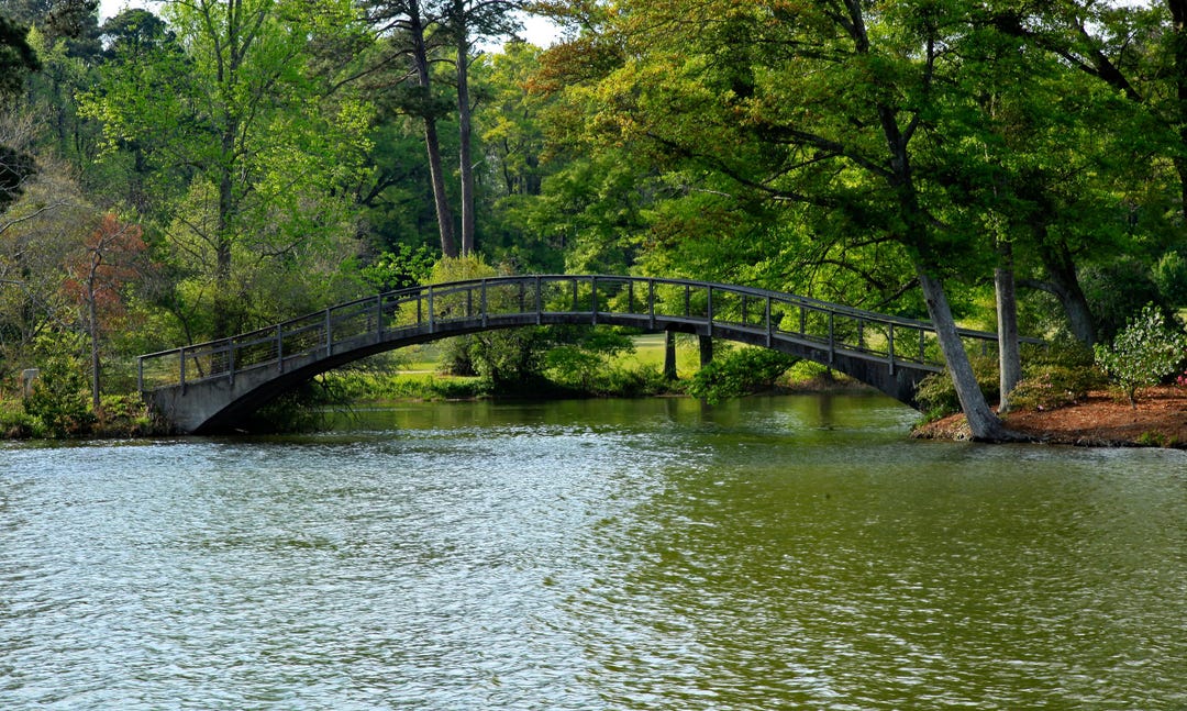Callaway Gardens Bridge Canvas Print: Georgia Landscape Wall Art - Etsy