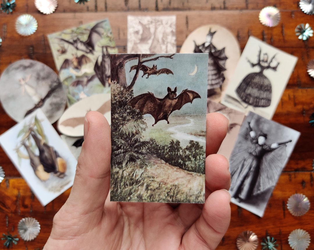 14 Piece Vintage Bats Sticker Set, Bat Art, Gothic Art, Halloween ...