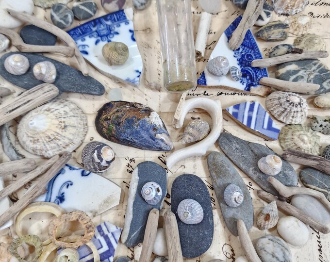 A Collection of Beach Finds, Shell's, Driftwood, Pebbles, Pottery ...