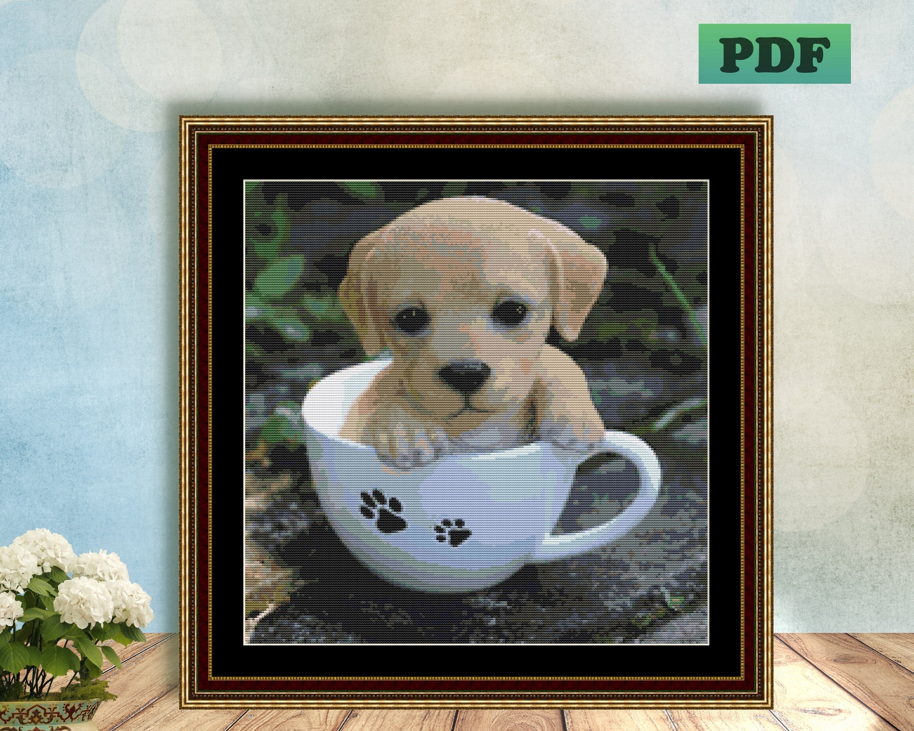 Baby Teacup Puppies