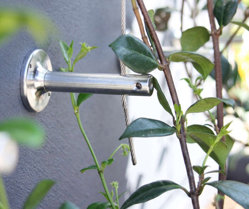Trellis Post for Garden Wall Design Stainless Steel - Professional ...
