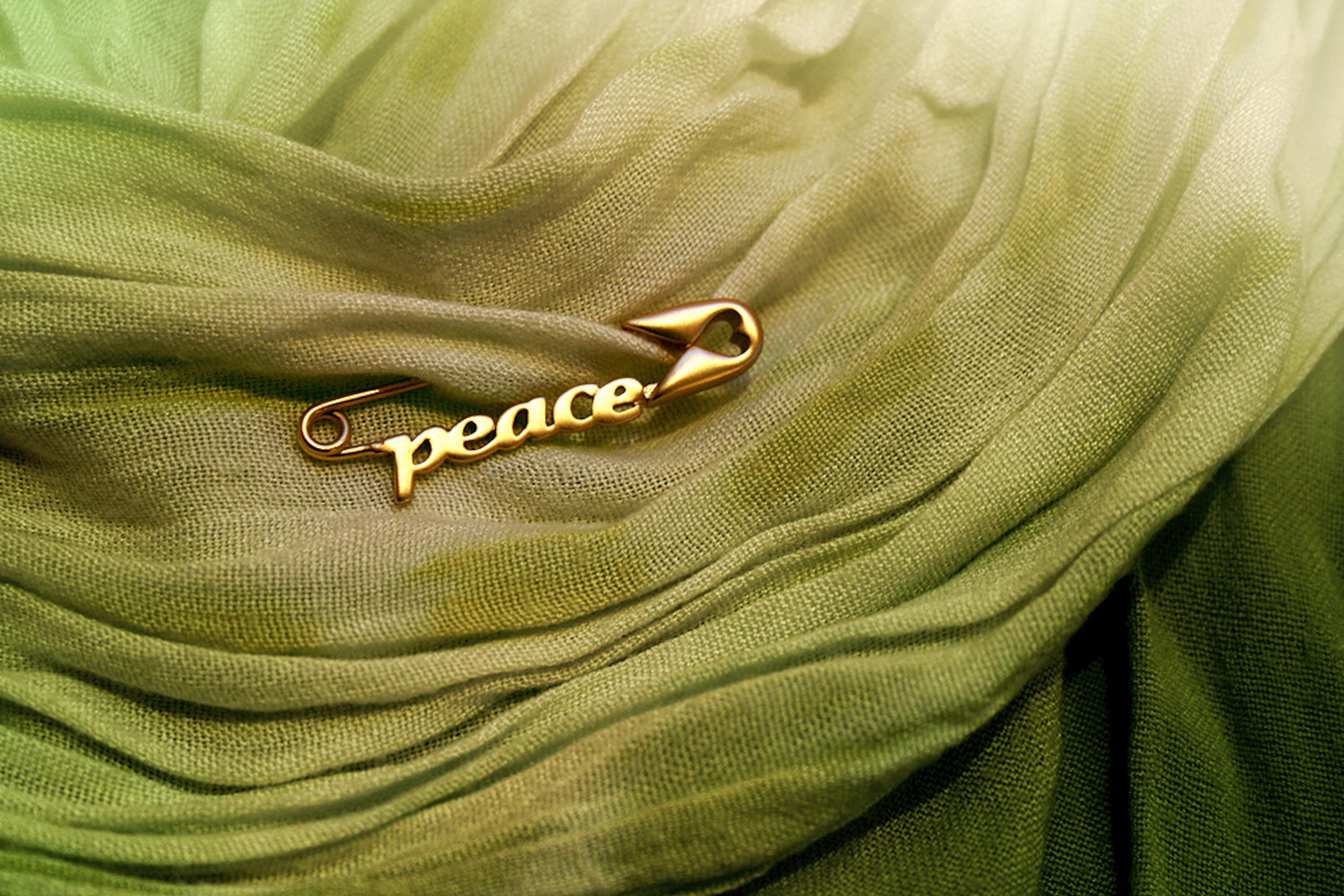 Inspiring Safety Pin by Inspired Pins PEACE Pin - Etsy