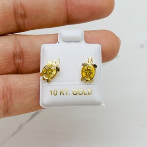 10k - 14k Solid Gold Earrings Turtle - Aretes En Oro De 10 O 14 Kilates ...