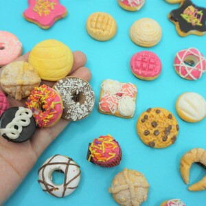 Mini Concha Mexican Pan Dulce INDIVIDUAL Sweet Bread Donut - Etsy