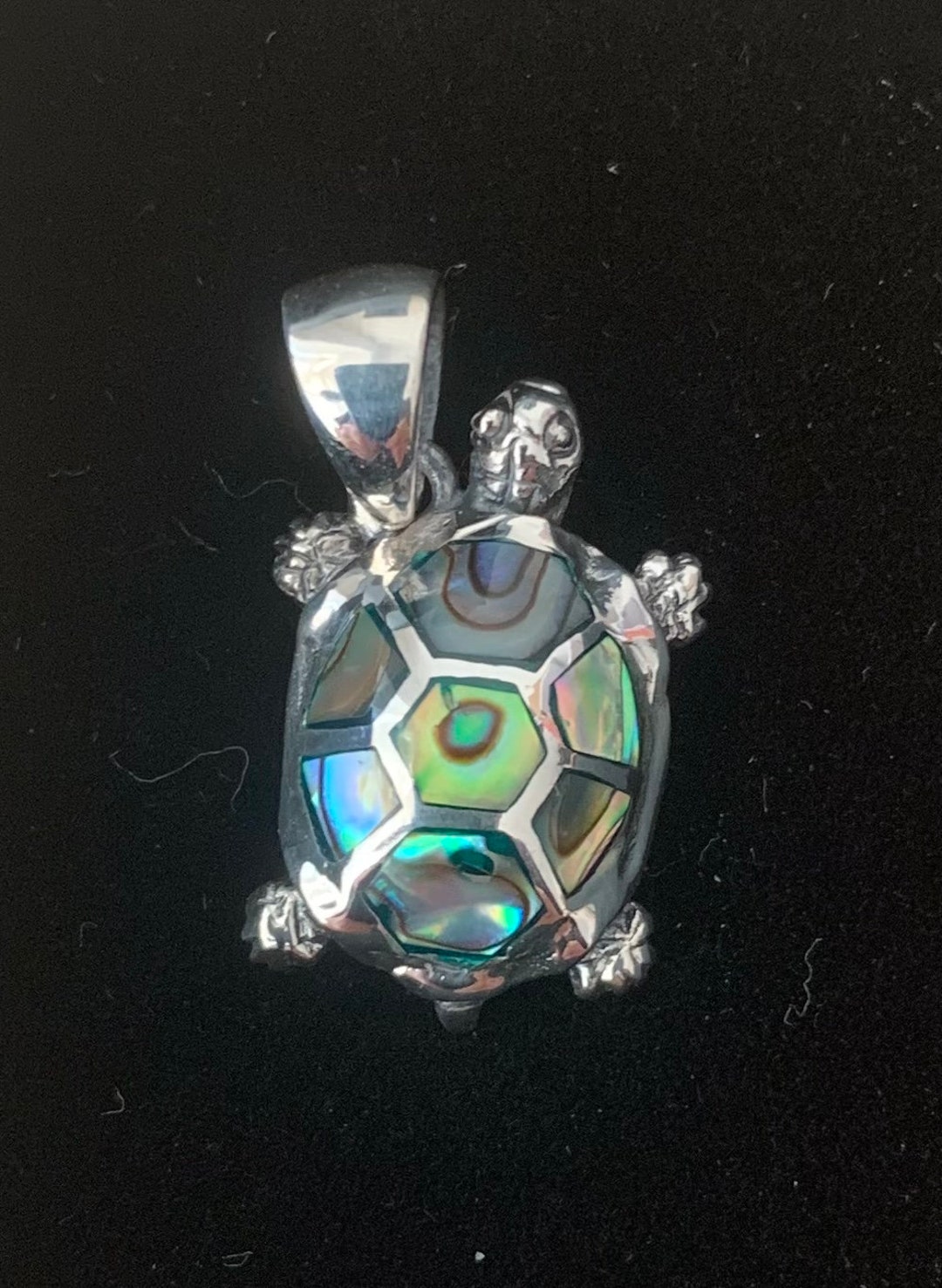 Sterling Silver 925 Abalone Turtle Pendant in Gift Box - Etsy