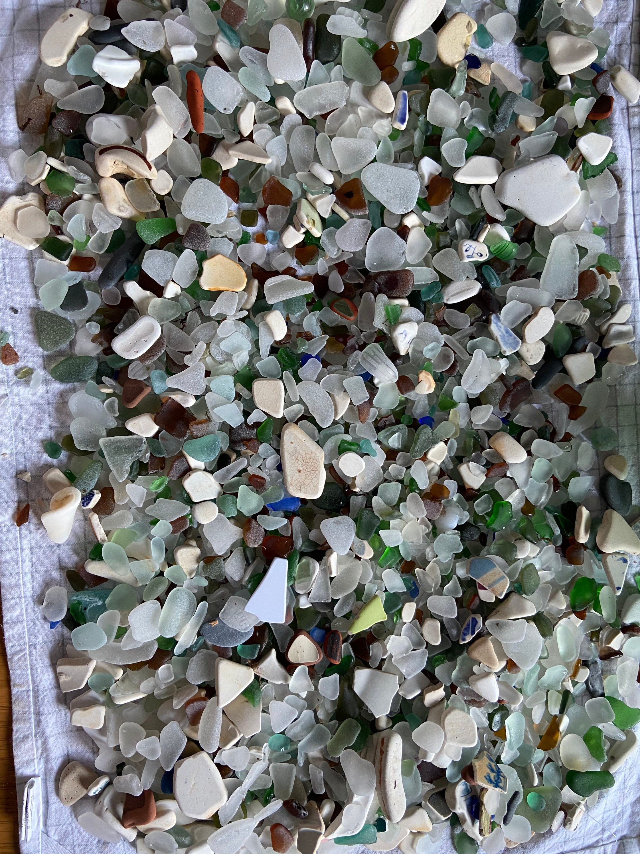 Summer Bloom / Seaglass Hydrangea/ Birthday Card / Just - Etsy