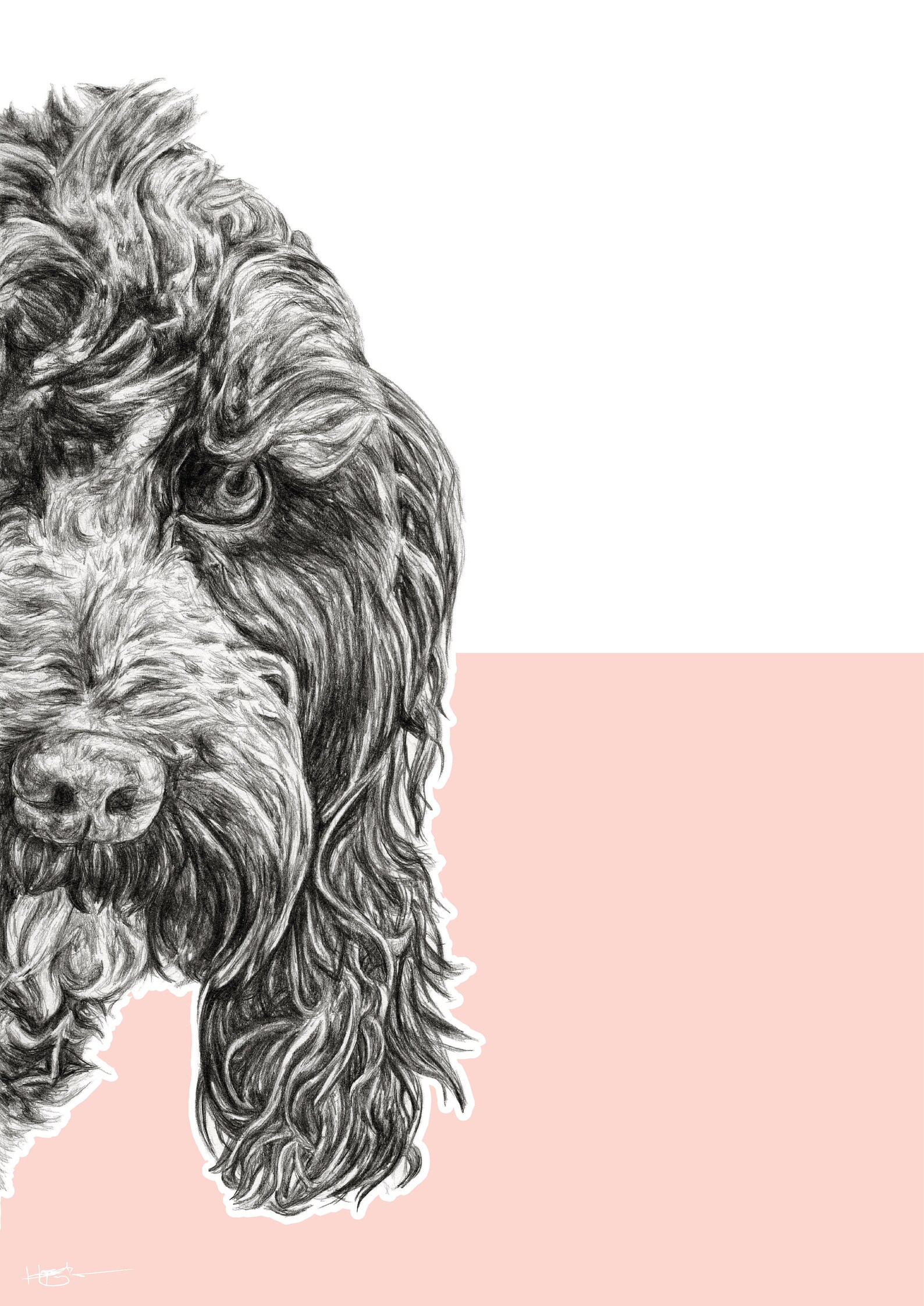 Cockapoo Print Peeping Dog Illustration Dog Lovers Print Cockapoo ...