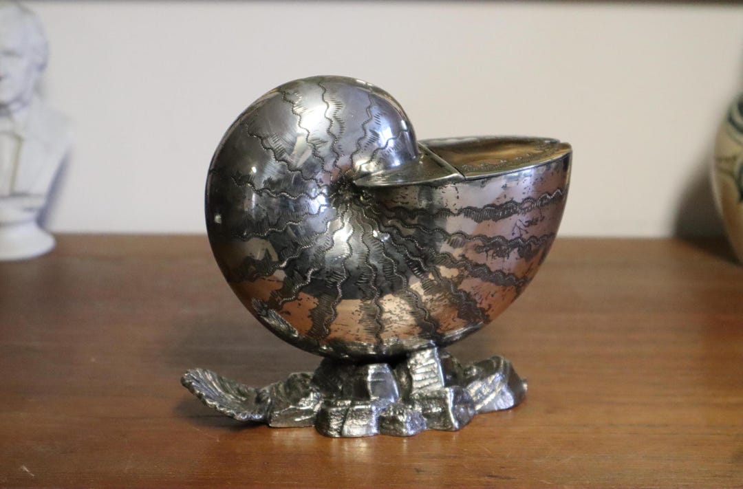 C1880 Silver Plated Nautilus Shell Spoon Warmer - Large 6.5" Spoon ...