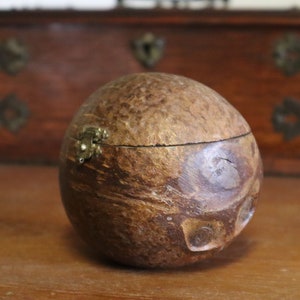 Antique Coconut Shell Jewellery Box With Padded Lined Interior Coconut ...