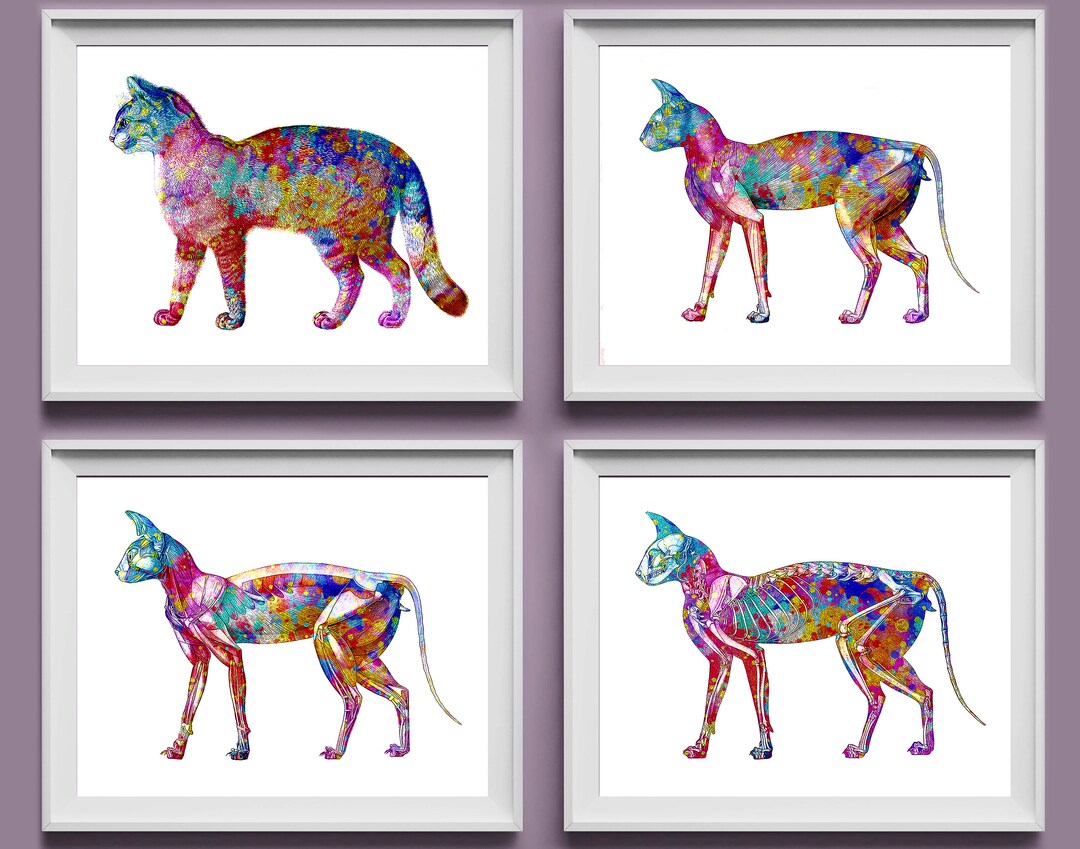 4 Watercolor Cat Anatomy Art Veterinary Poster Veterinarian Gift Cat ...