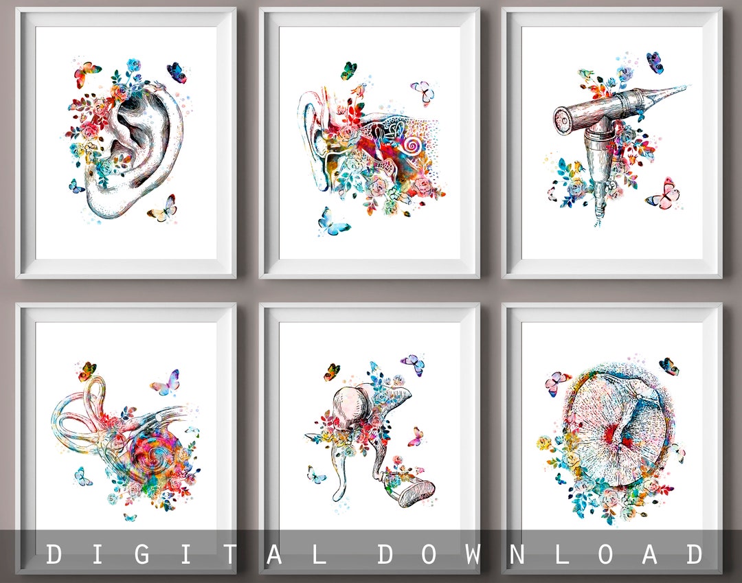 Human Ear Anatomy Art, Medical Artwork, Audiology Poster, Watercolor ...
