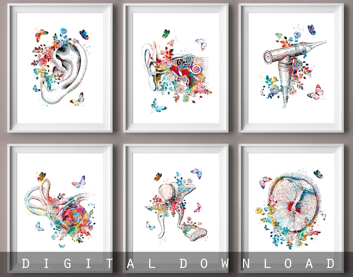 Human Ear Anatomy Art Medical Artwork Audiology Poster - Etsy