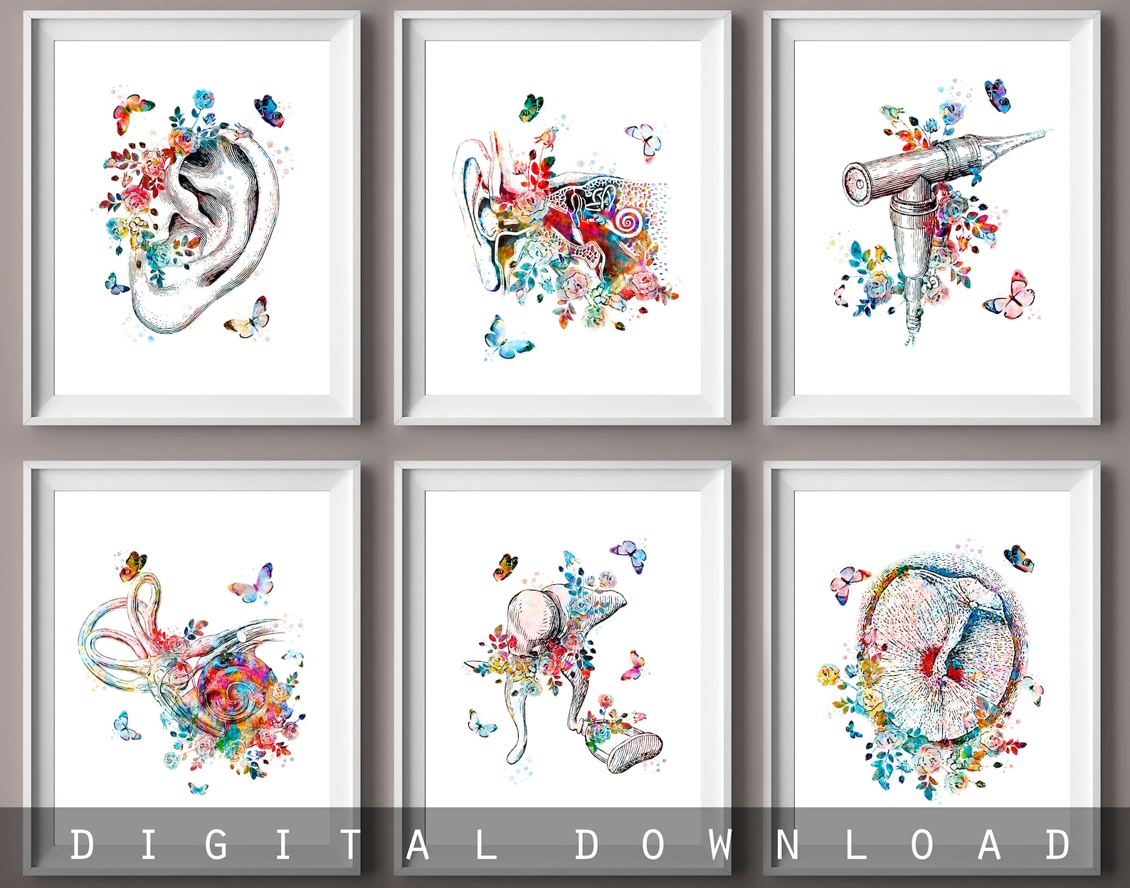 Human Ear Anatomy Art, Medical Artwork, Audiology Poster, Watercolor ...