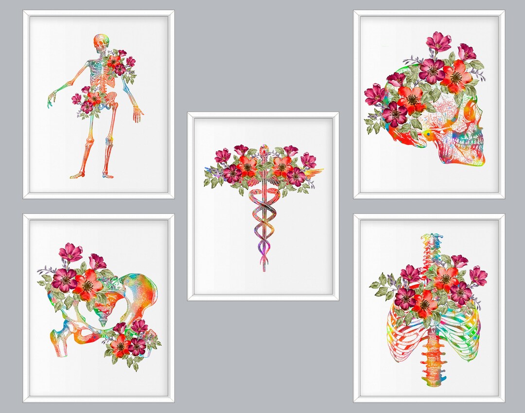 Set 5 Skeleton Anatomy Art Skeletal System Diagram Medical Art ...