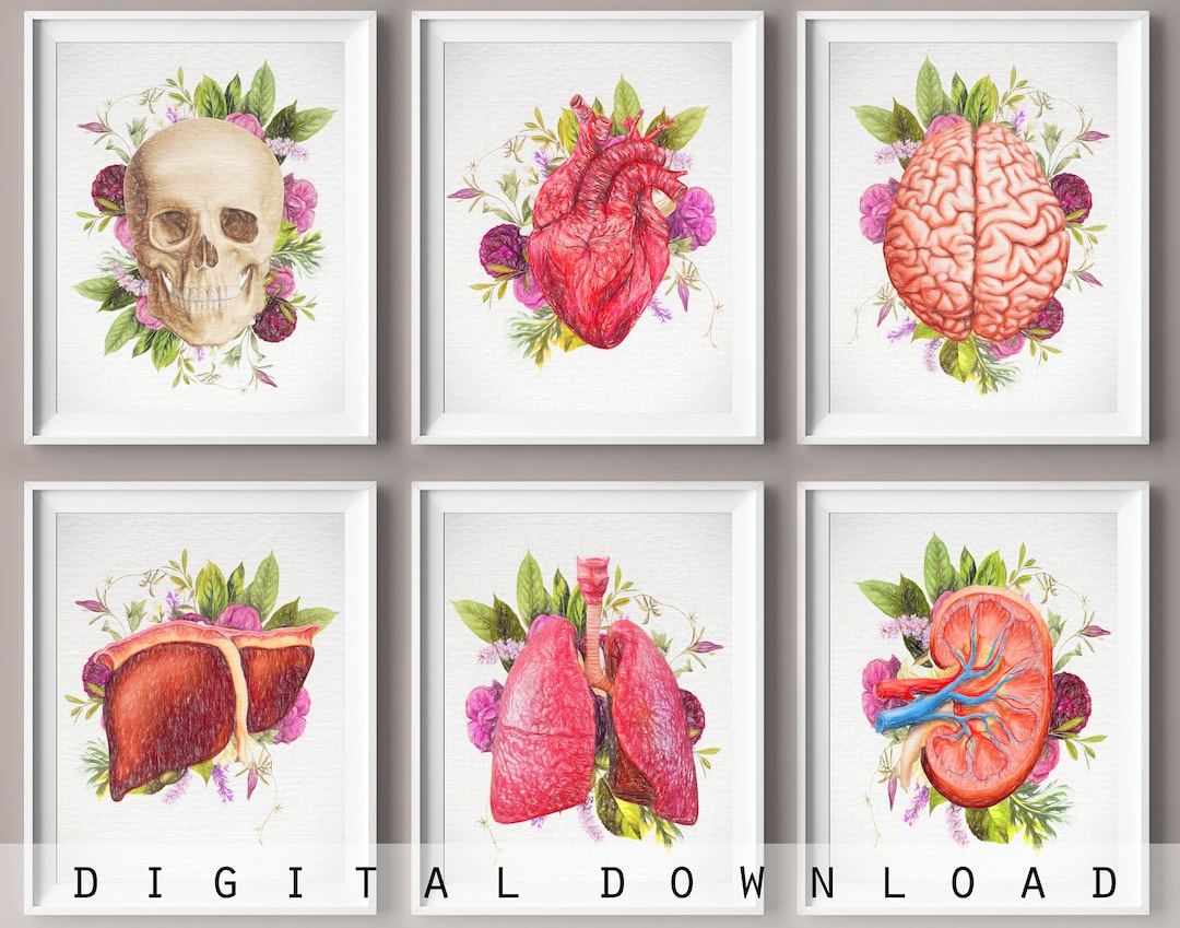 Floral Anatomy Art Prints: Pencil Drawing, Doctor Gift (set of 6 ...
