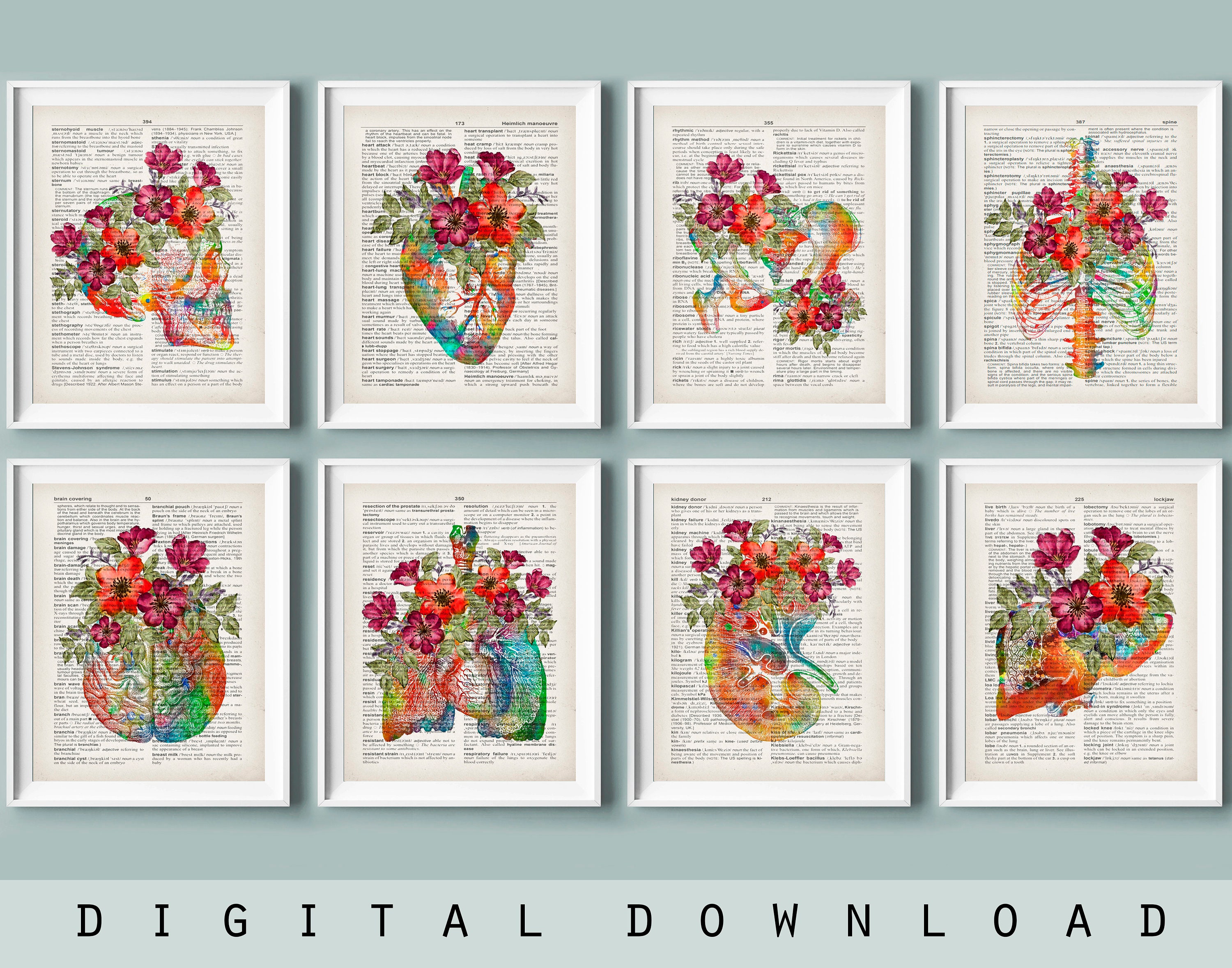 Set 8 Watercolor Anatomy Dictionary Art Medical Art Floral - Etsy