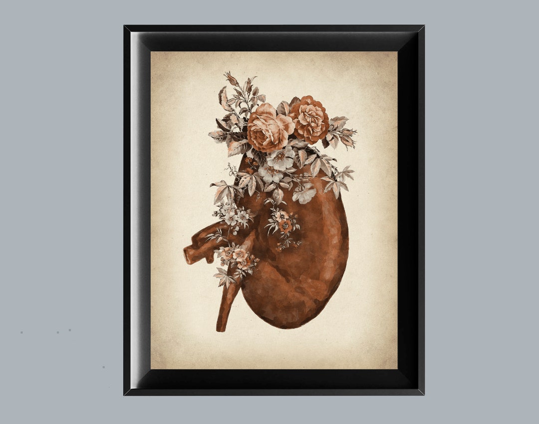 Vintage Floral Kidney Art Anatomy Artwork Nephrology Art Urologist Gift ...