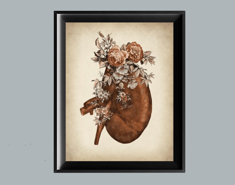Vintage Floral Kidney Art Anatomy Artwork Nephrology Art - Etsy