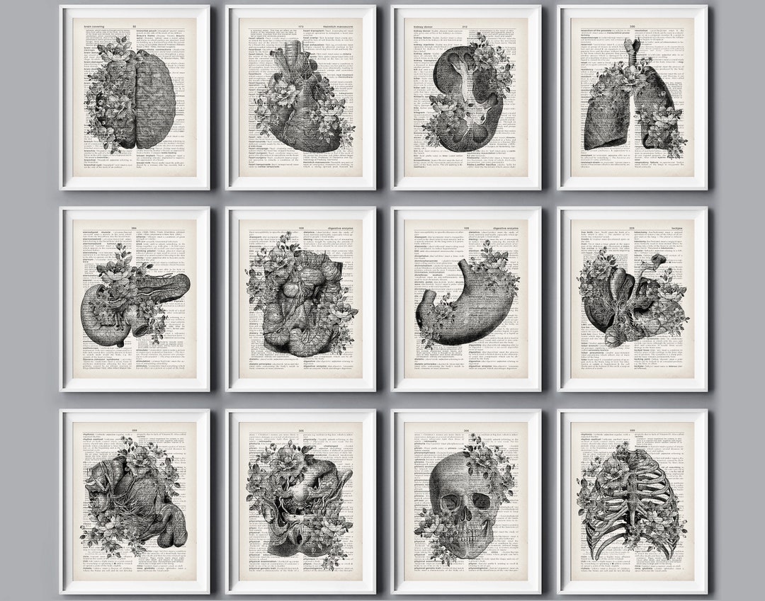 12 Vintage Anatomy and Physiology Art Old Medical Dictionary Page Art ...