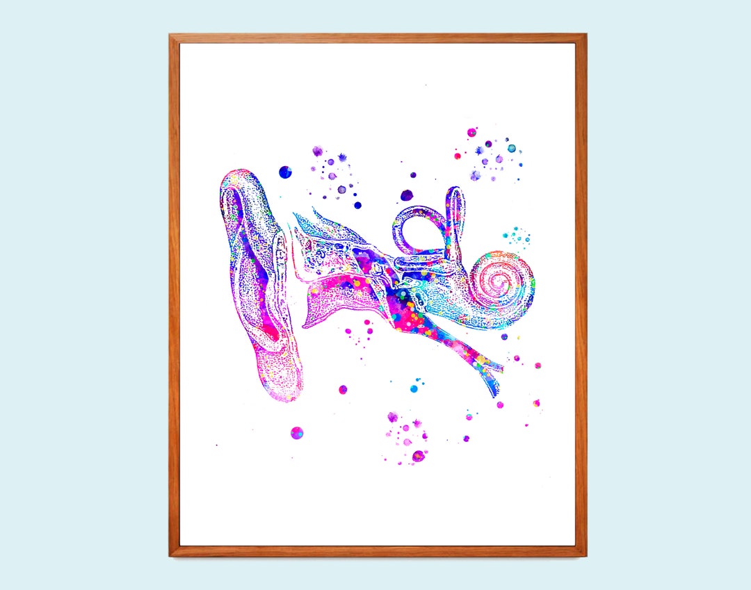 Ear Anatomy Artwork Inner Ear Structure Poster Audiology Art Medical ...