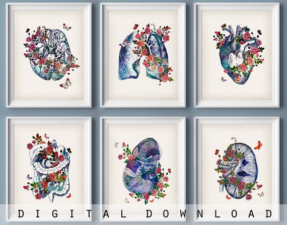 Set 6 Floral Anatomy Art Human Organ and Flower Drawing | Etsy